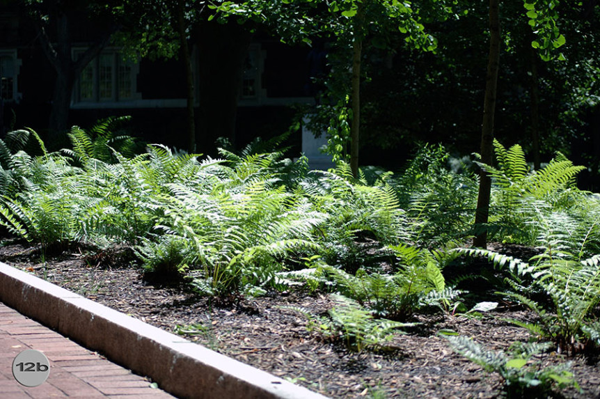 UPenn Geology Garden